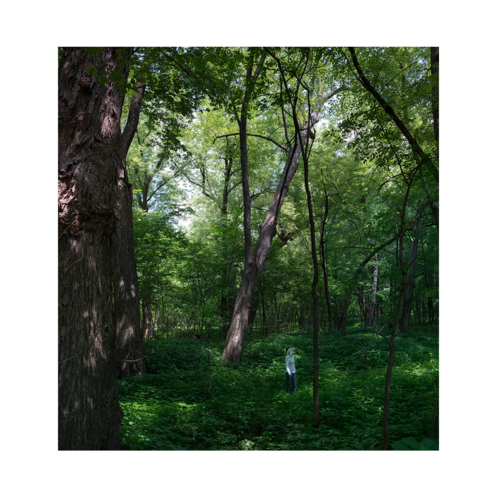 Miranda Brandon | Artists | Sweetwater Center for the Arts | Community ...